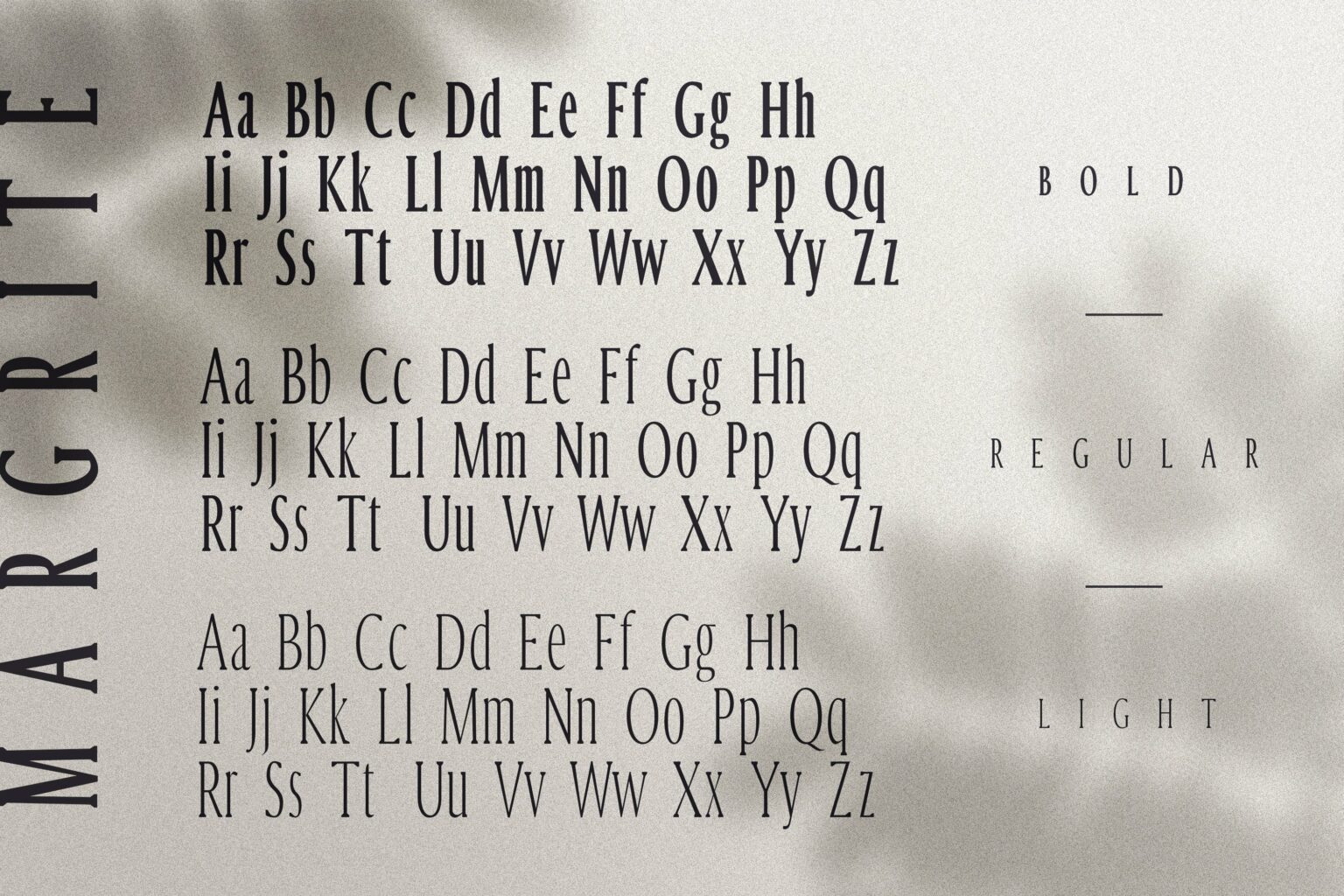 Margrite - Tall Serif Font Family – MasterBundles