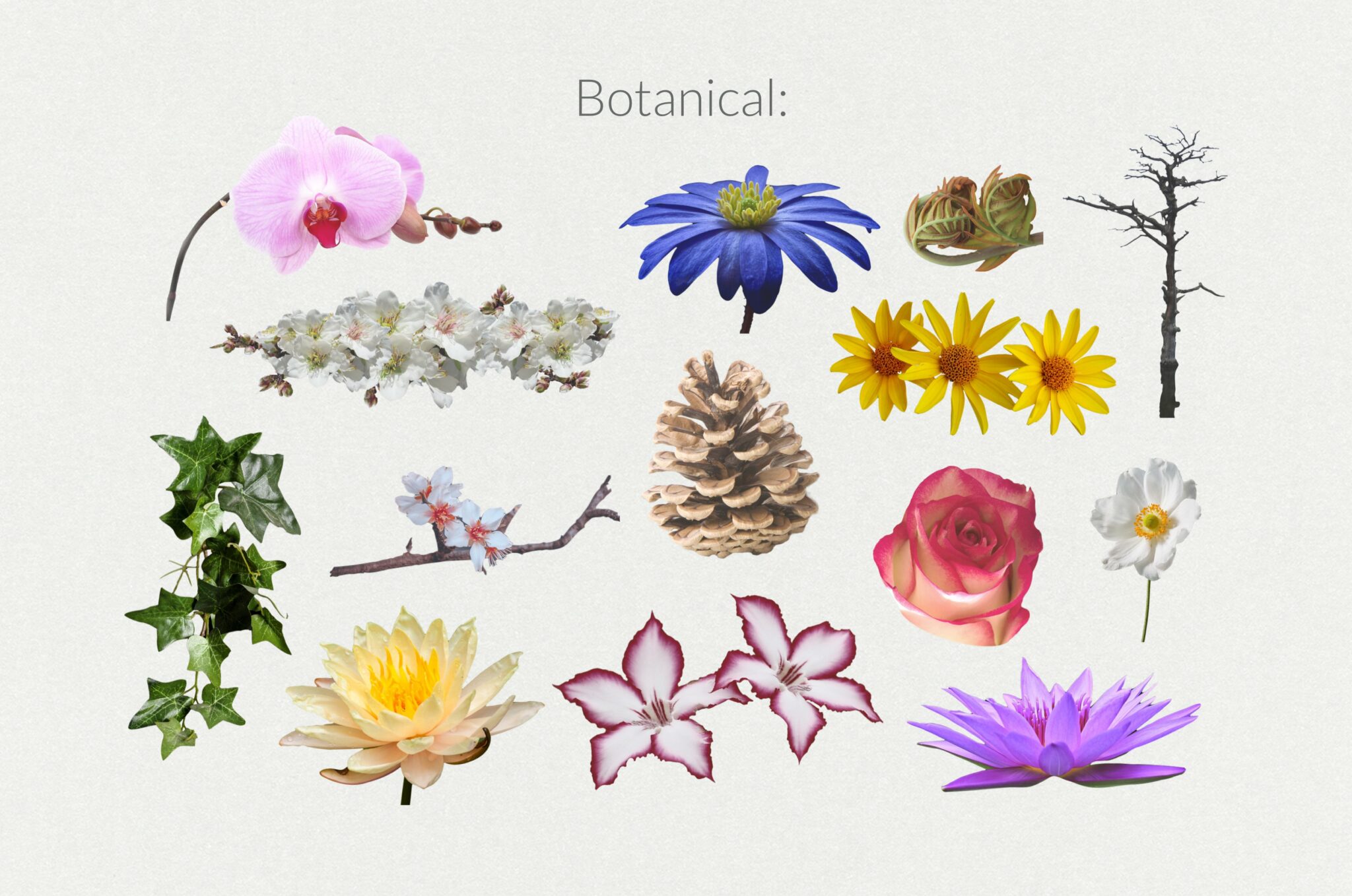 250+ Elements - Collage Creator Pack – MasterBundles