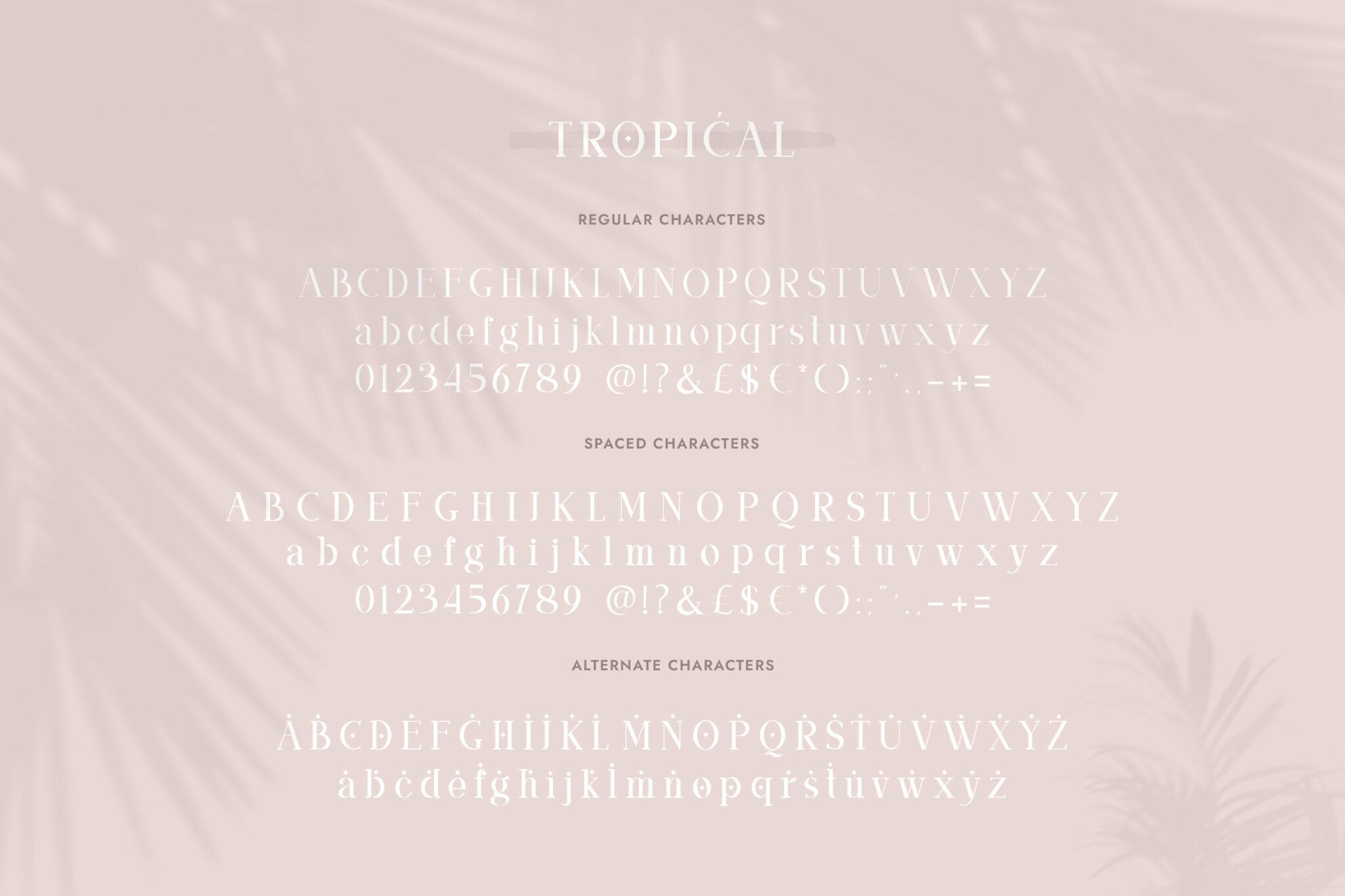 Tropical Serif Font – MasterBundles