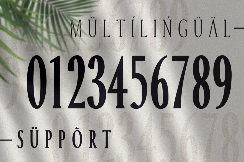 Margrite - Tall Serif Font Family – MasterBundles