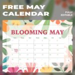 10 Free Calendar May – MasterBundles