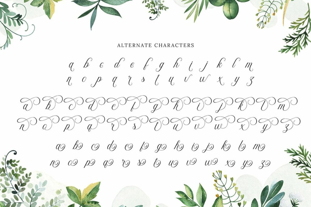 Congratulations Script Font – MasterBundles