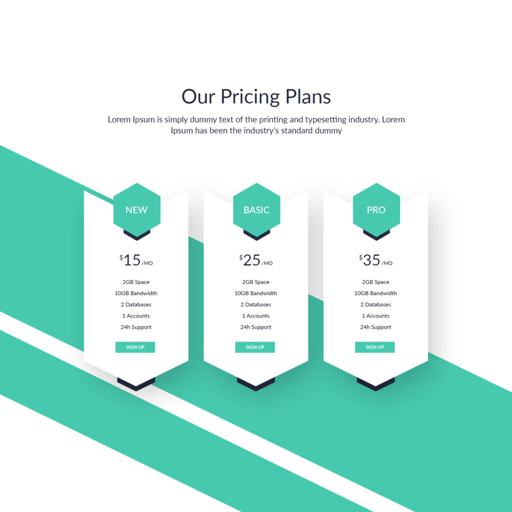 Two pricing plan Editable Graphic Template