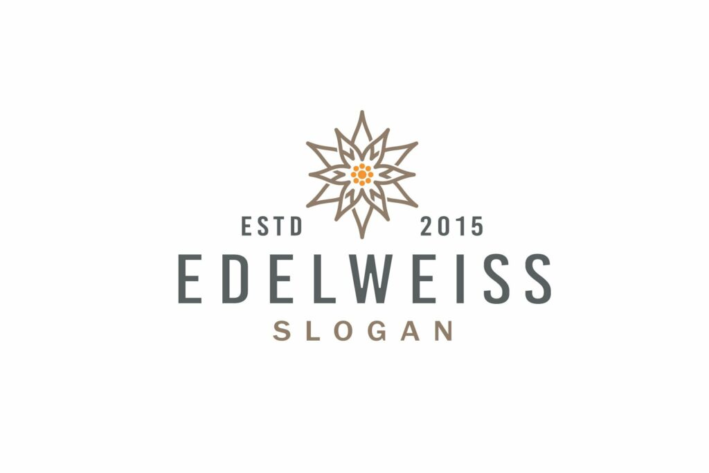 Abstract edelweiss flower – MasterBundles
