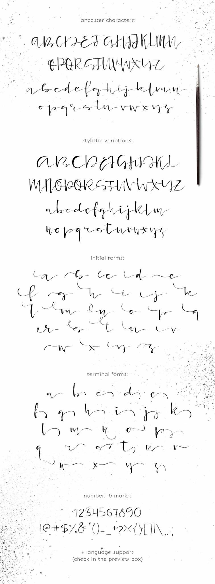 Lancaster - calligraphic font – MasterBundles