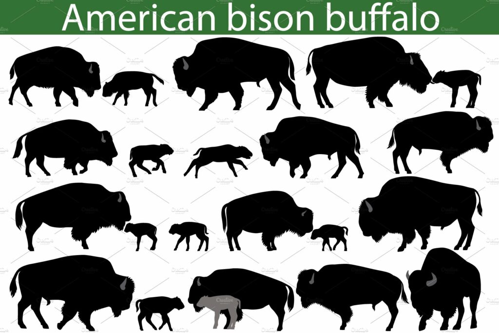 American bison buffalo silhouettes – MasterBundles