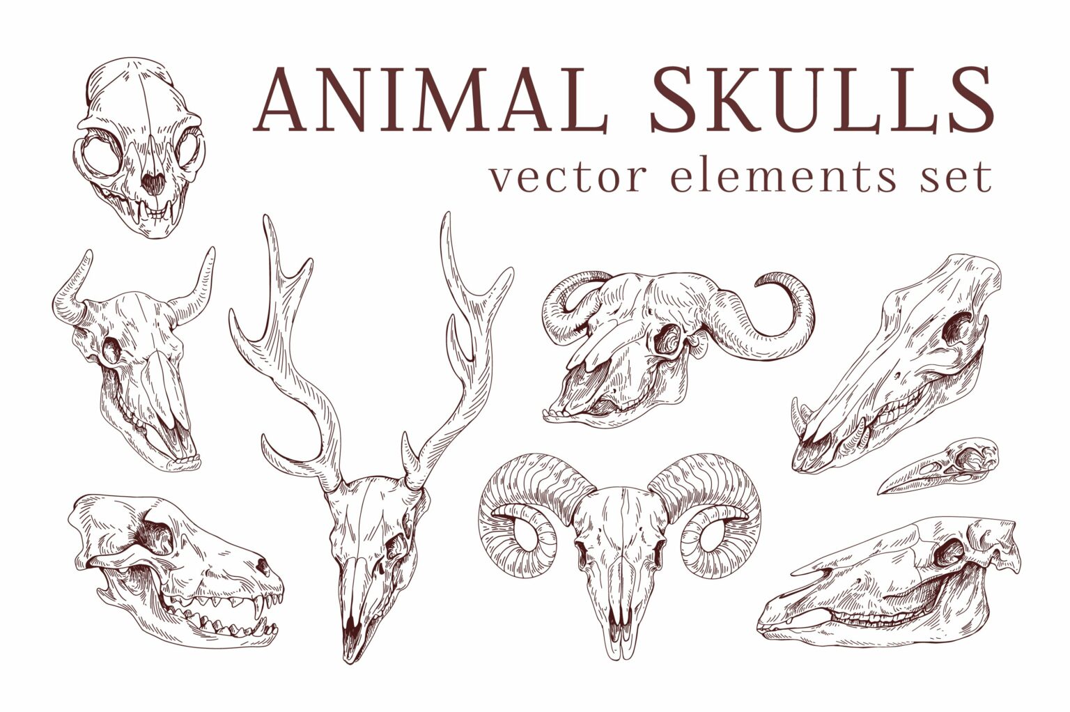 Hand drawn animal & bird skulls set – MasterBundles