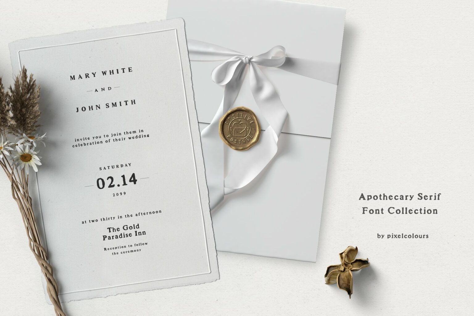 Apothecary Serif Font Collection – MasterBundles