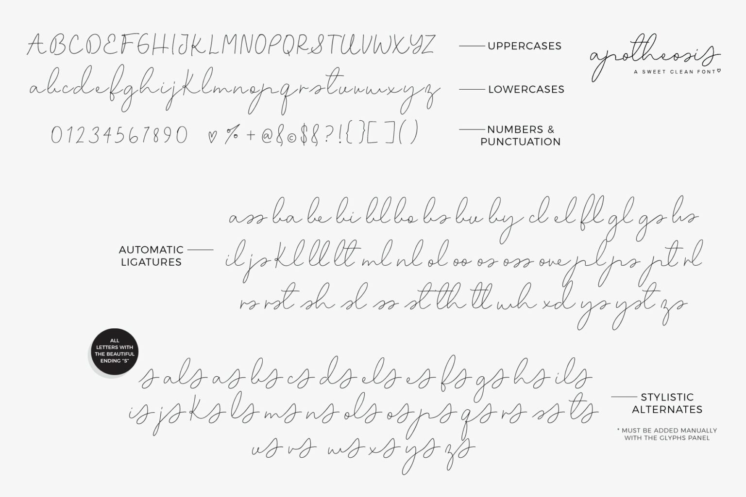 Script Font Apotheosis – MasterBundles