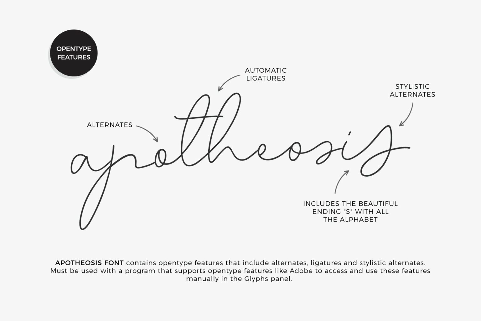 Script Font Apotheosis – MasterBundles