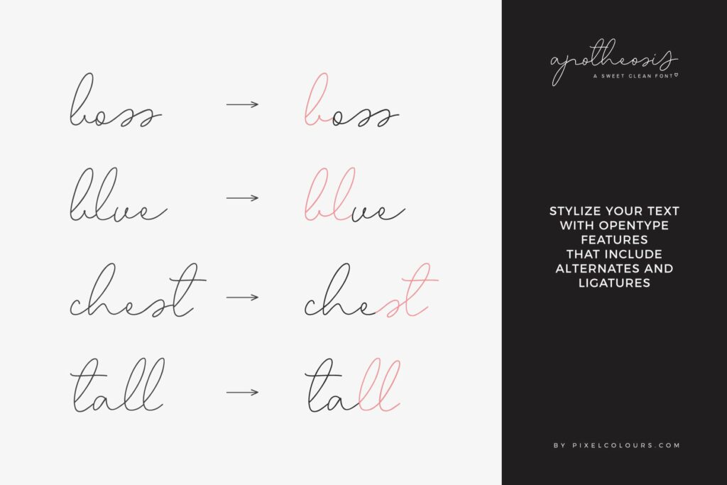 Script Font Apotheosis – MasterBundles