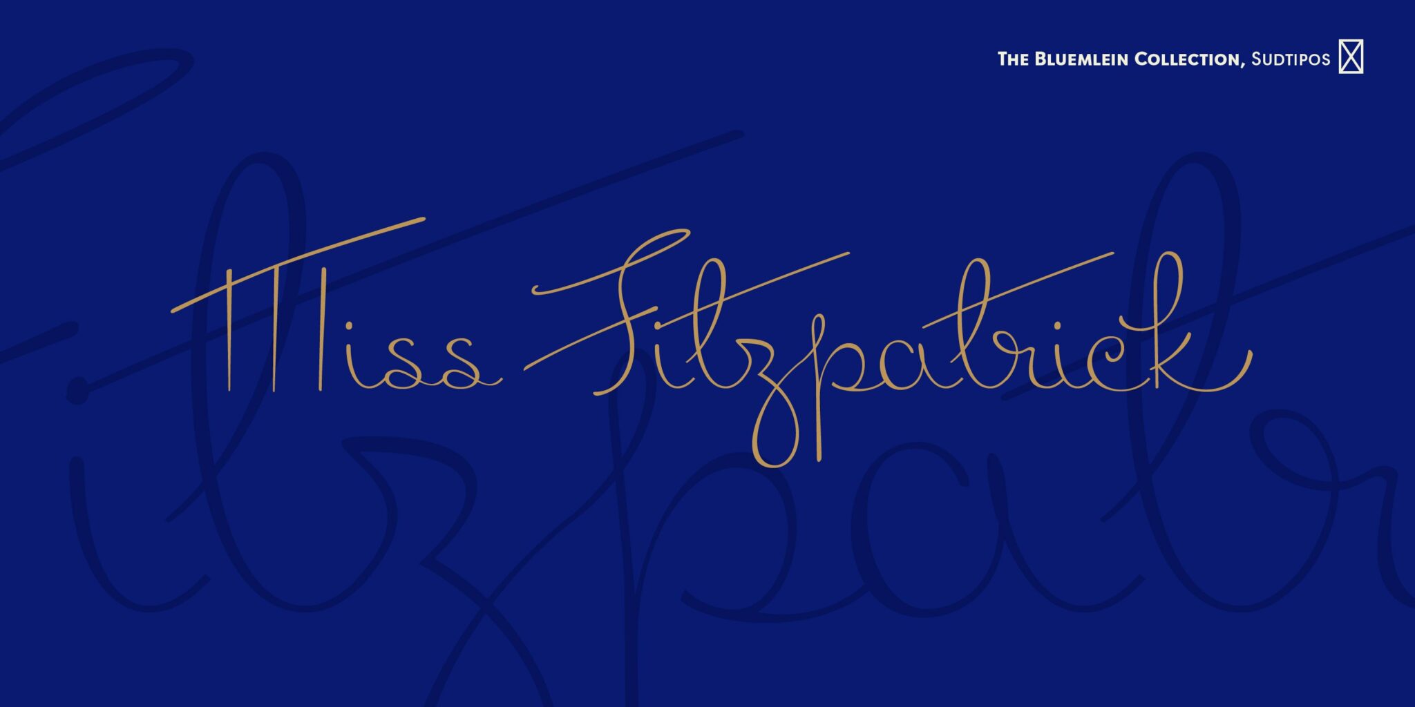 Miss Fitzpatrick Pro – MasterBundles