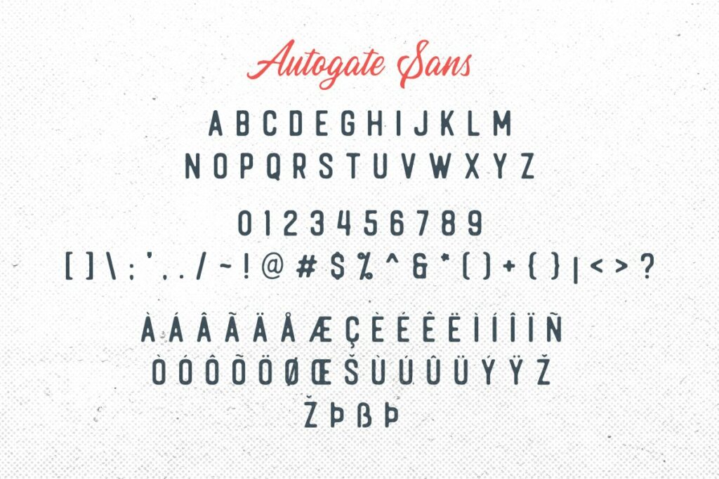 Autogate - Font Duo (+BONUS) – MasterBundles