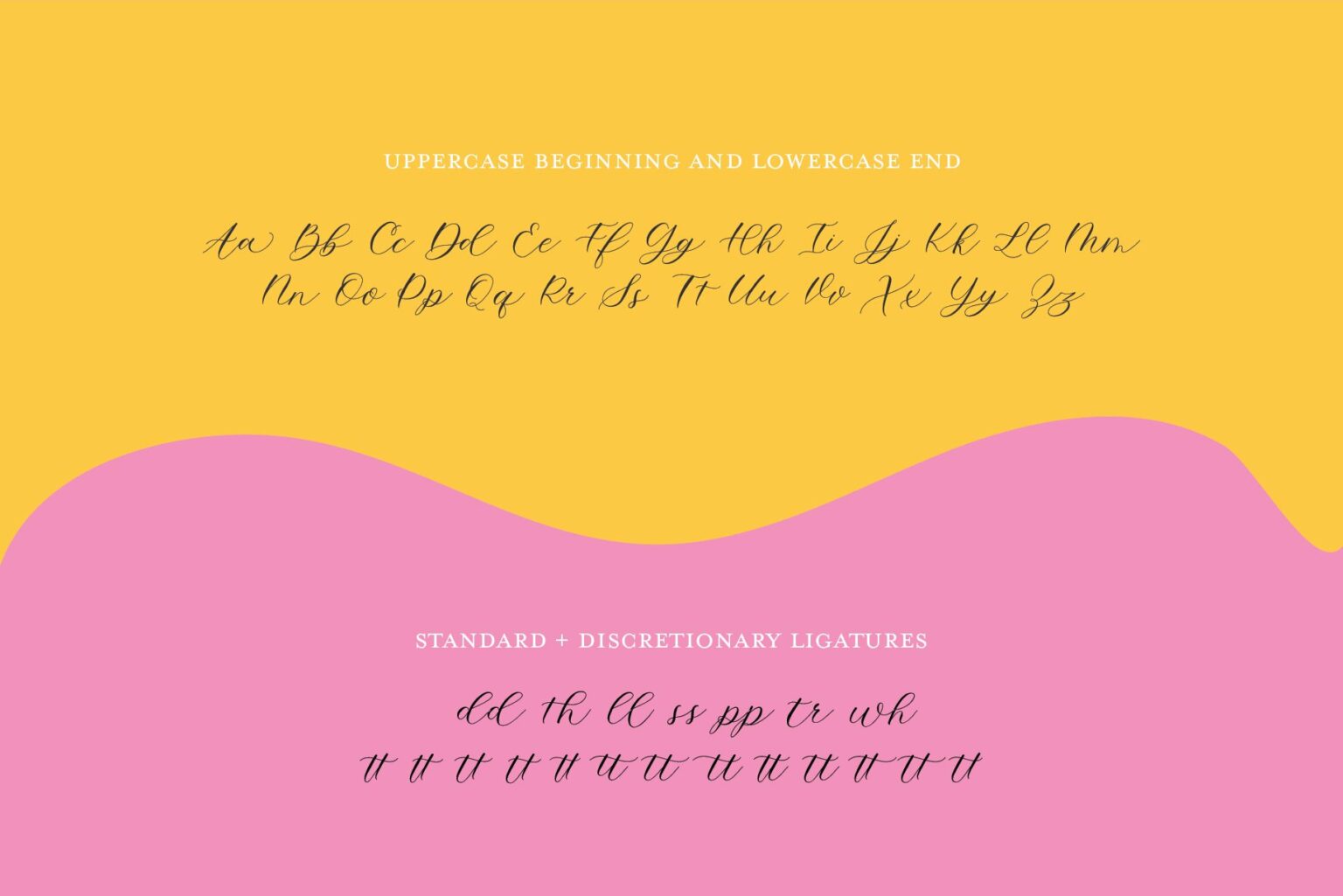 Lemon Squeezy Calligraphy Font – MasterBundles
