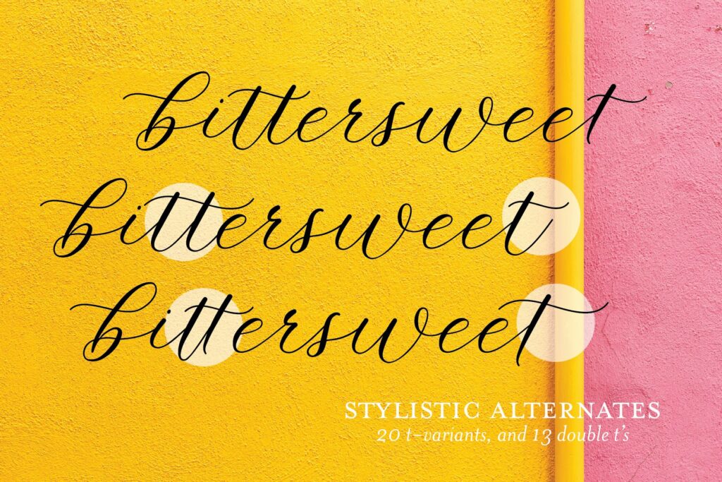Lemon Squeezy Calligraphy Font – MasterBundles