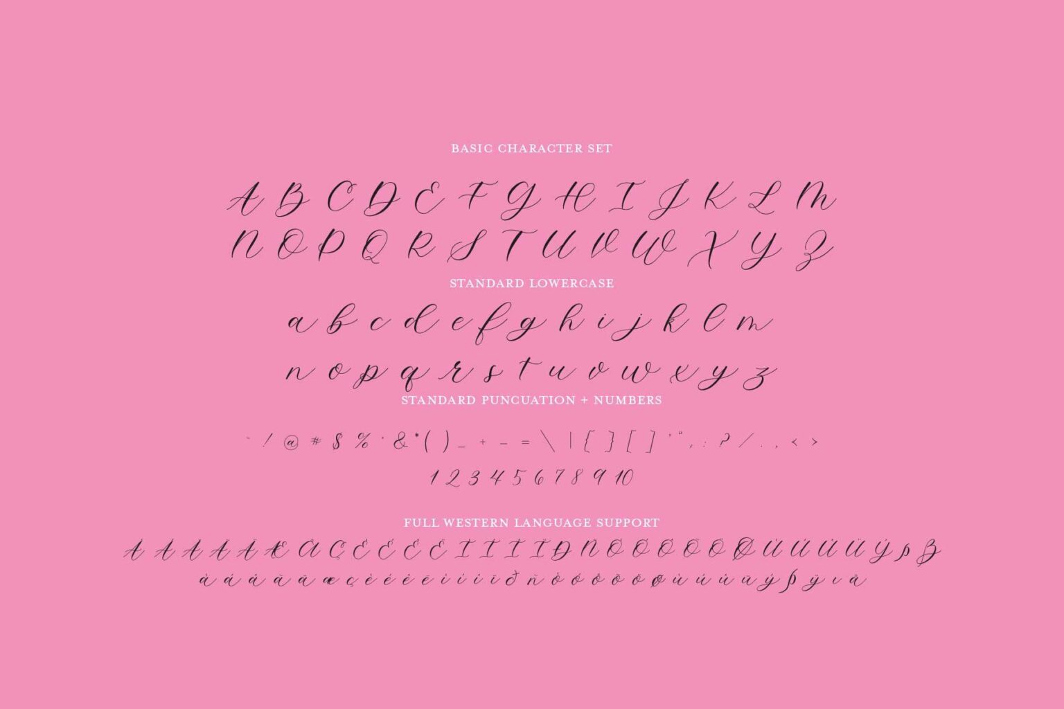 Lemon Squeezy Calligraphy Font – MasterBundles