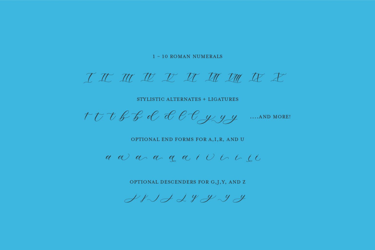 Lemon Squeezy Calligraphy Font – MasterBundles