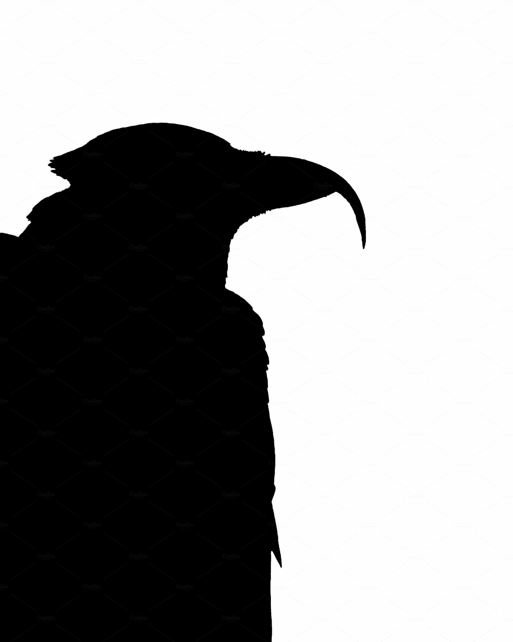 Black Crow Side View Isolated Graphic Silhouette – MasterBundles