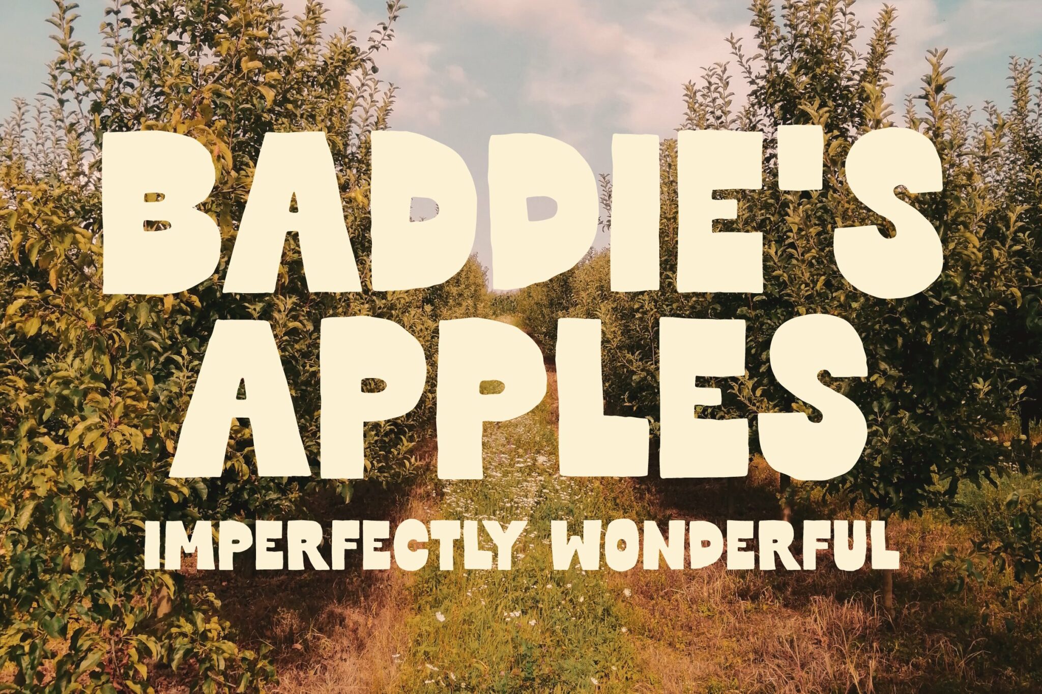 Baddie! Reverse Contrast! Handmade! – MasterBundles