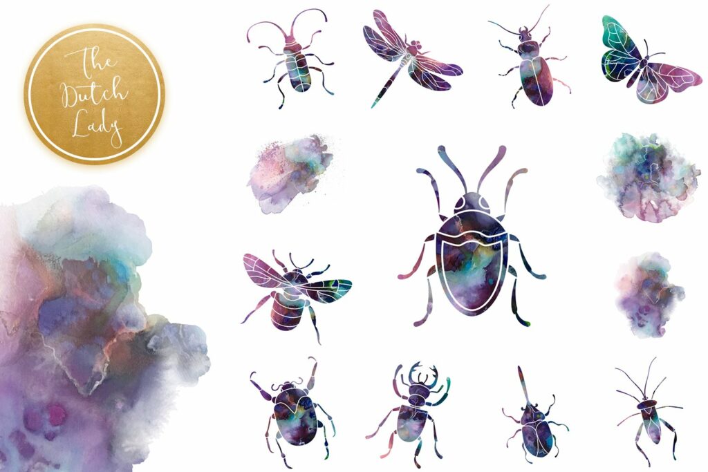 Beetles & Bugs Clipart Set – MasterBundles