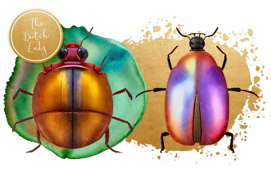 Beetles & Moths Clipart Set – MasterBundles