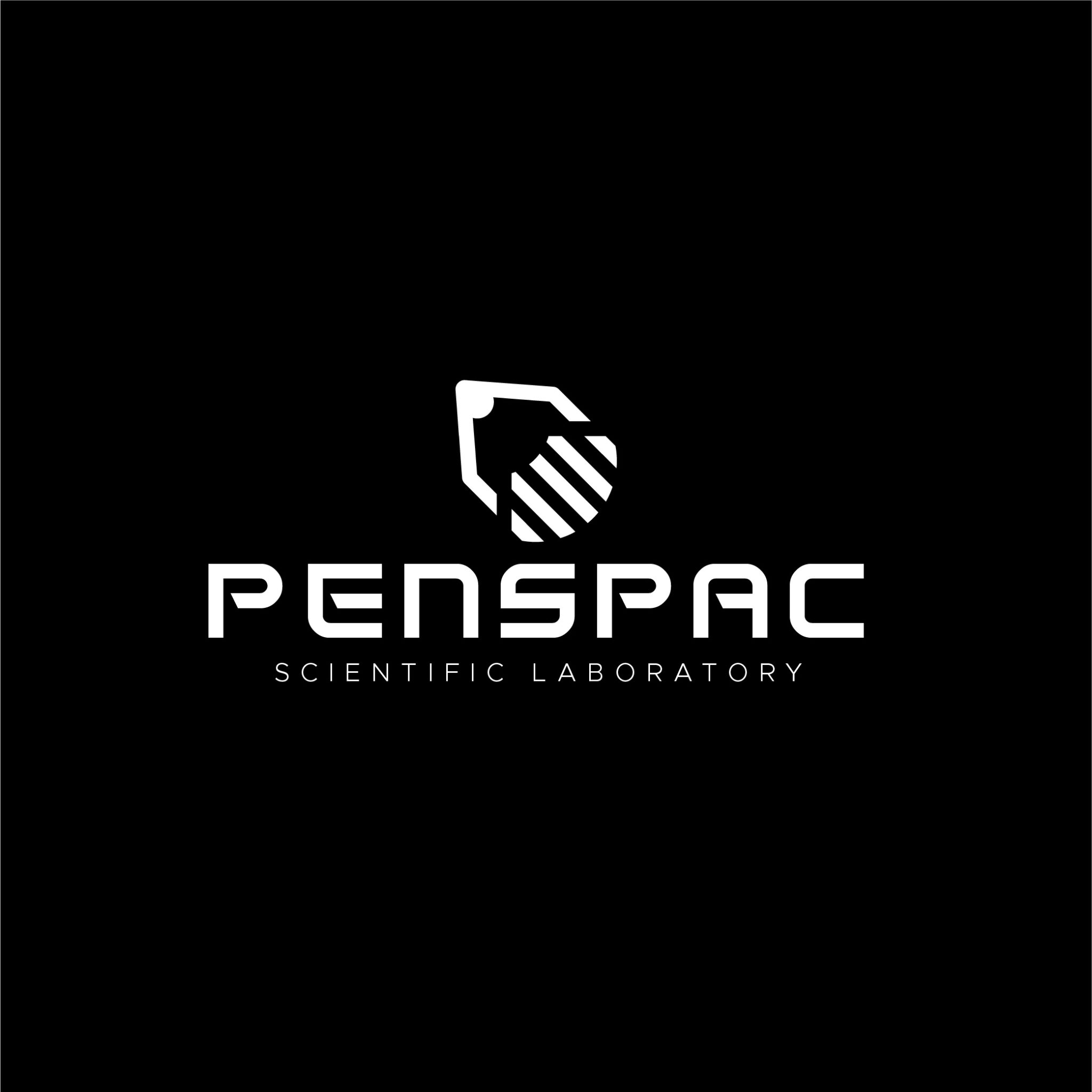 Spac logo/ pen logo/logo design - MasterBundles