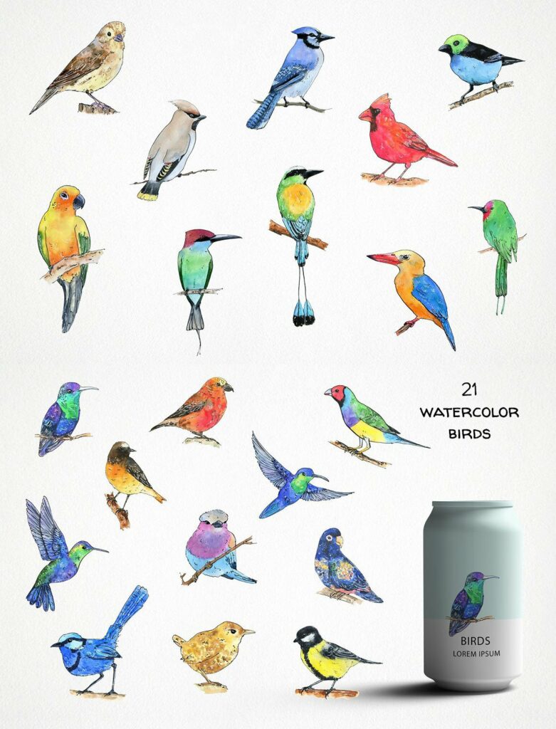watercolor tropical birds clipart – MasterBundles