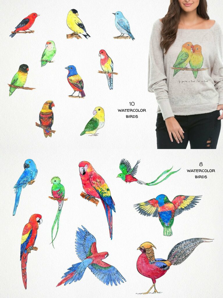 watercolor tropical birds clipart – MasterBundles