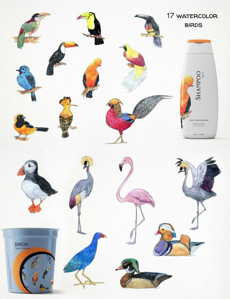 watercolor tropical birds clipart – MasterBundles