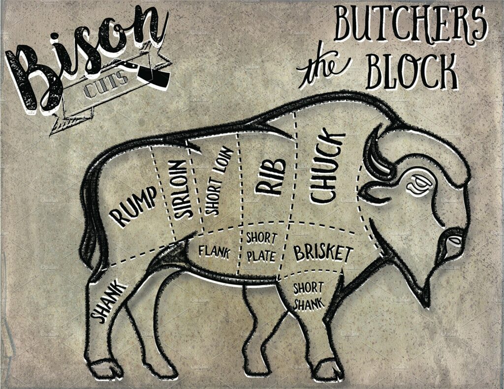 Bison Butcher Cuts Set 1 – MasterBundles