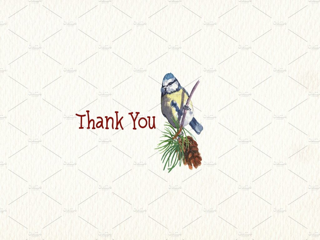 Watercolor blue tit bird clipart – MasterBundles