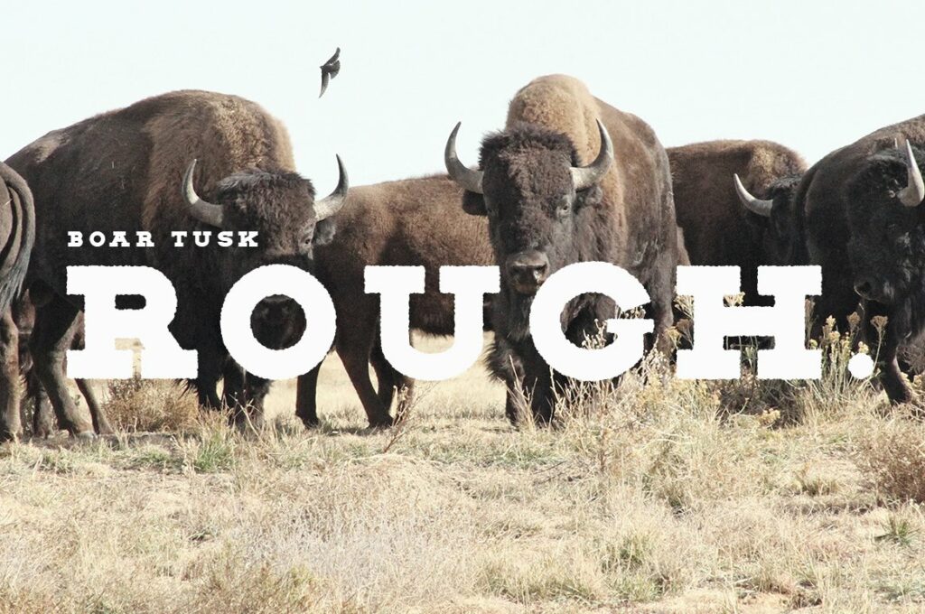 BOAR TUSK Font Family – MasterBundles