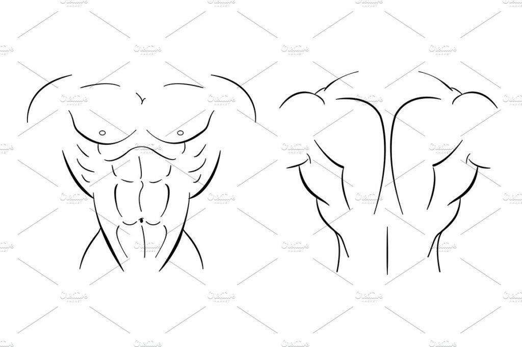 Bodybuilder torso. Vector – MasterBundles