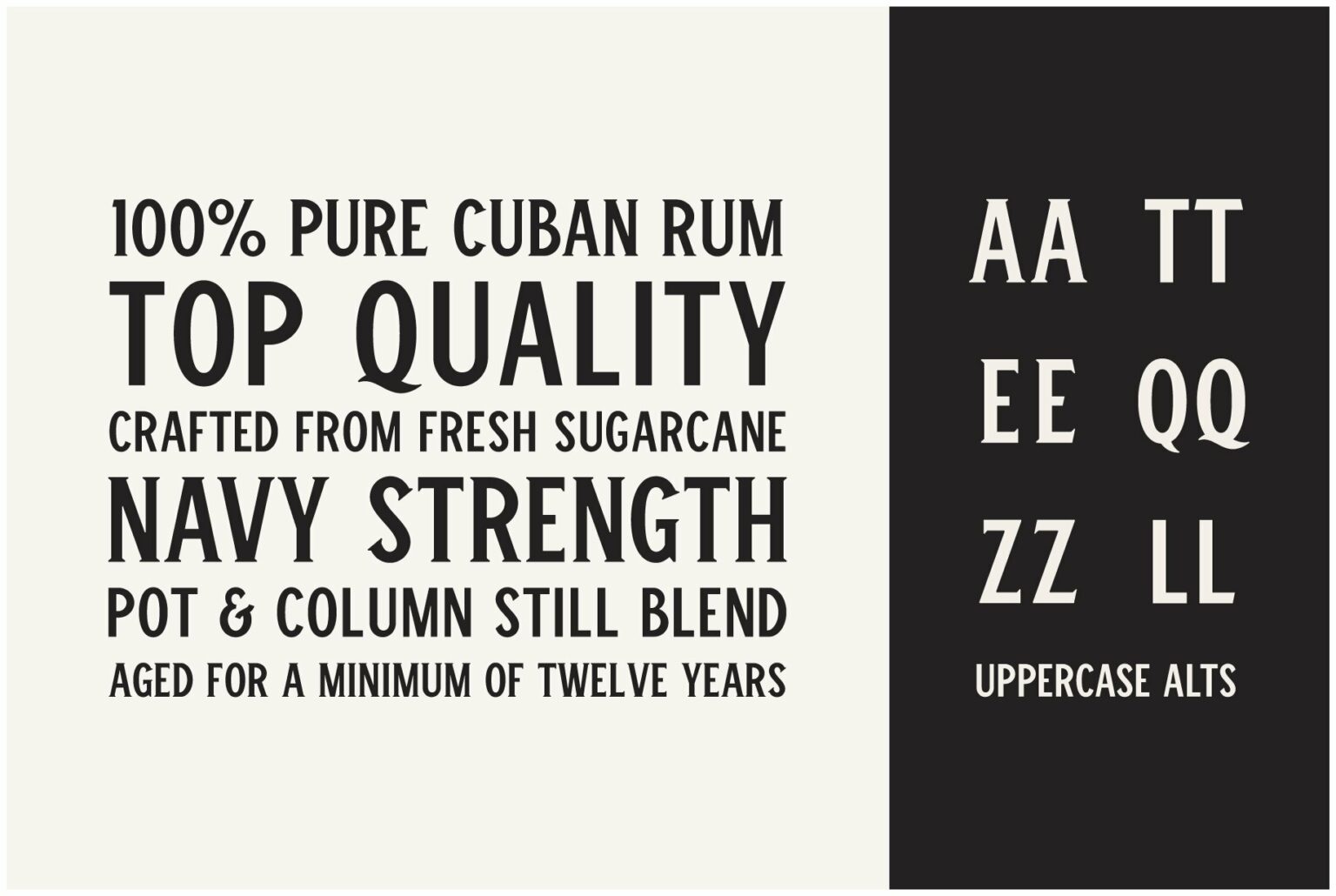 Winston Sans Typeface – MasterBundles