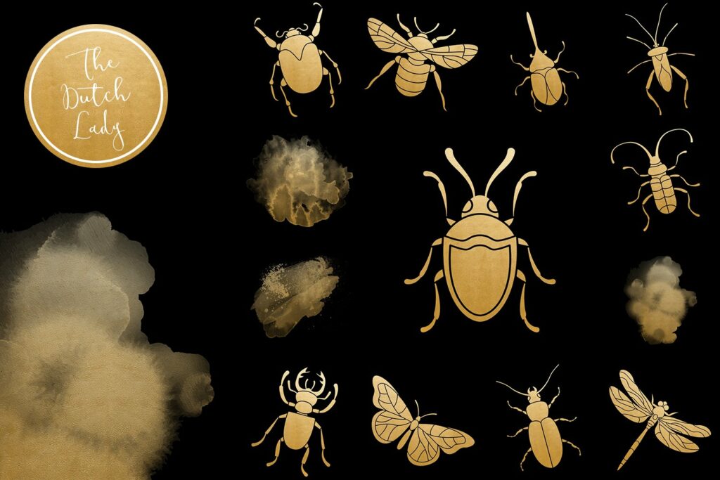 Beetles & Bugs Clipart Set – MasterBundles