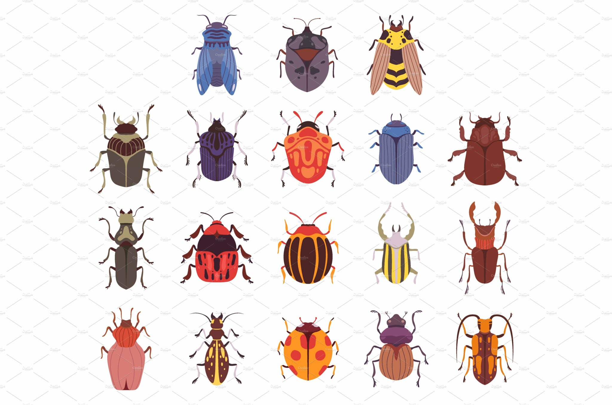 Bug and Beetle Insects Species – MasterBundles