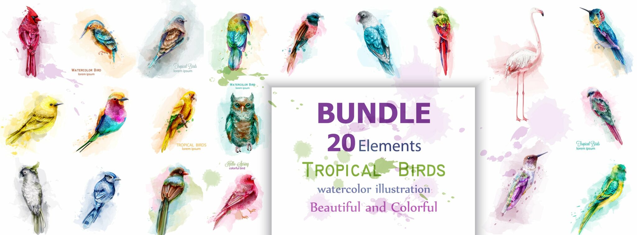20 bundle watercolor birds – MasterBundles