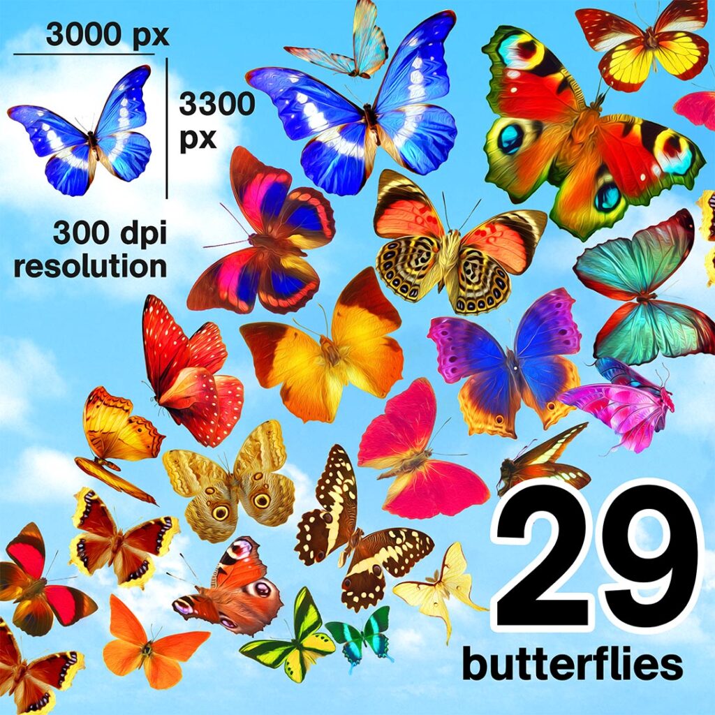 Realistic Butterflies - MasterBundles