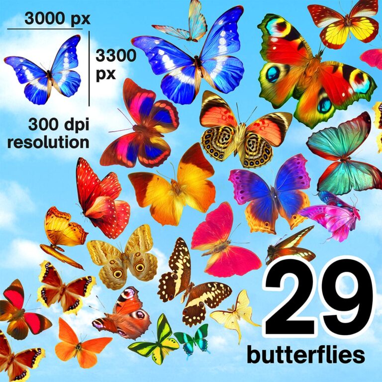 Realistic Butterflies - MasterBundles
