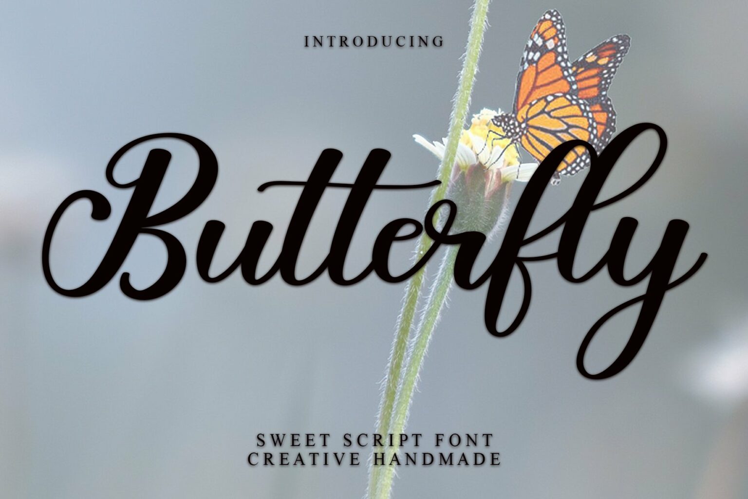 Butterfly - Handwriting Font – MasterBundles
