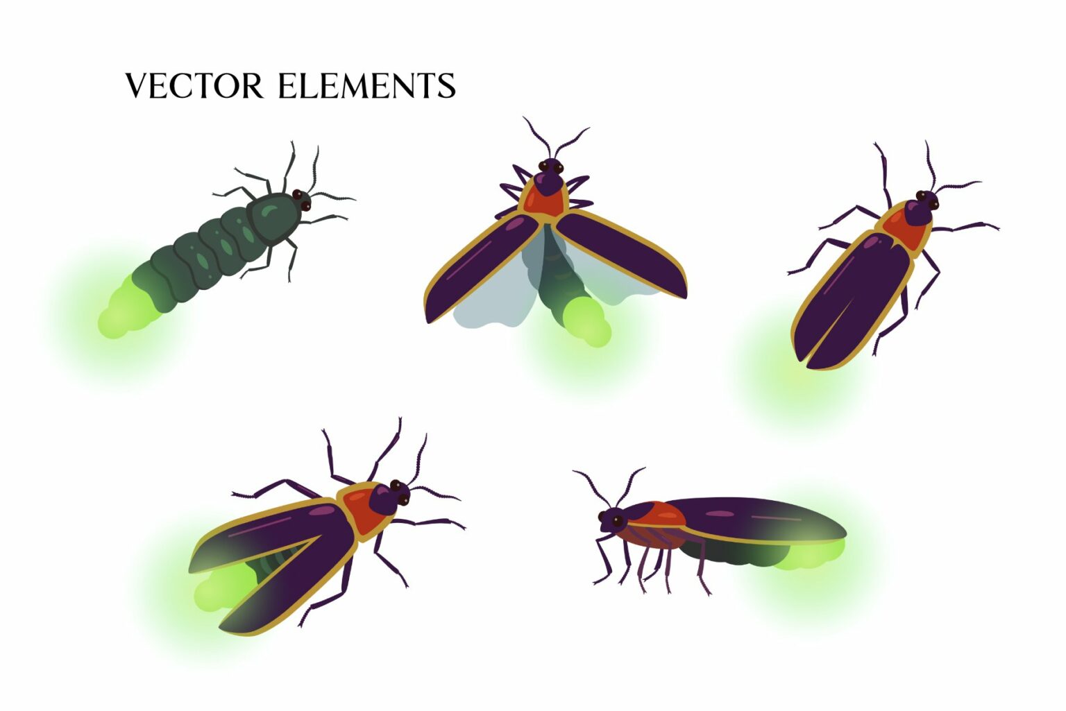 Fireflies vector illustrations – MasterBundles