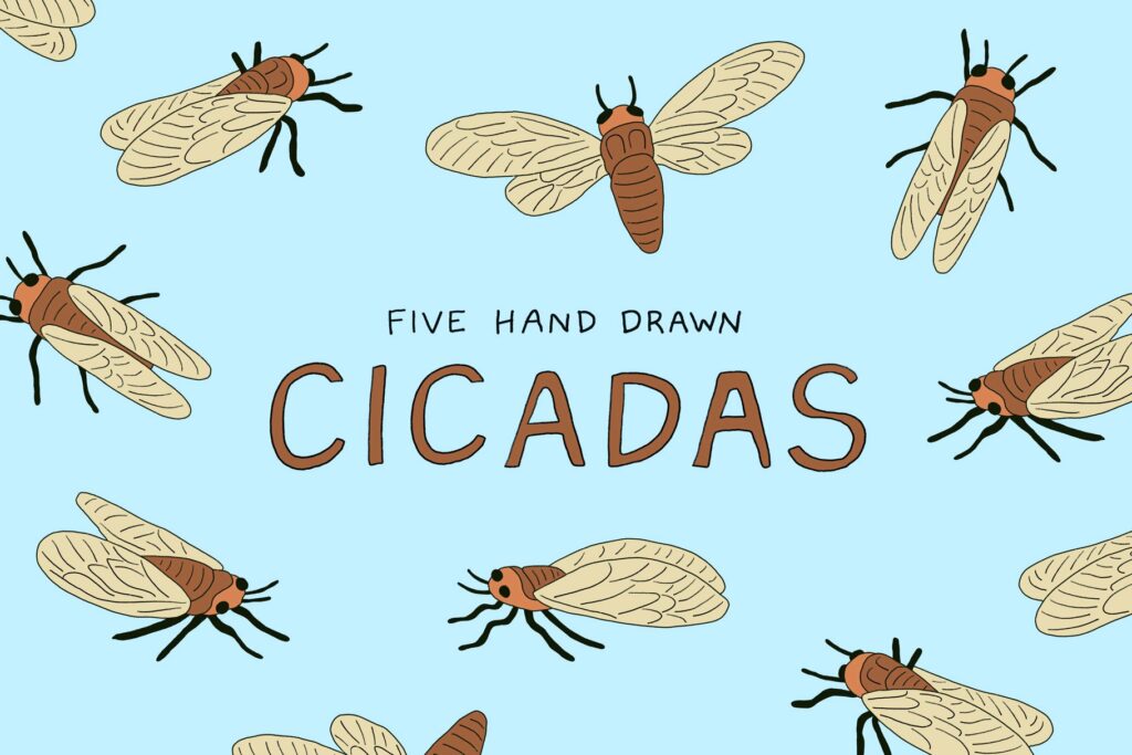 Cicadas Hand-Drawn Illustrations – MasterBundles