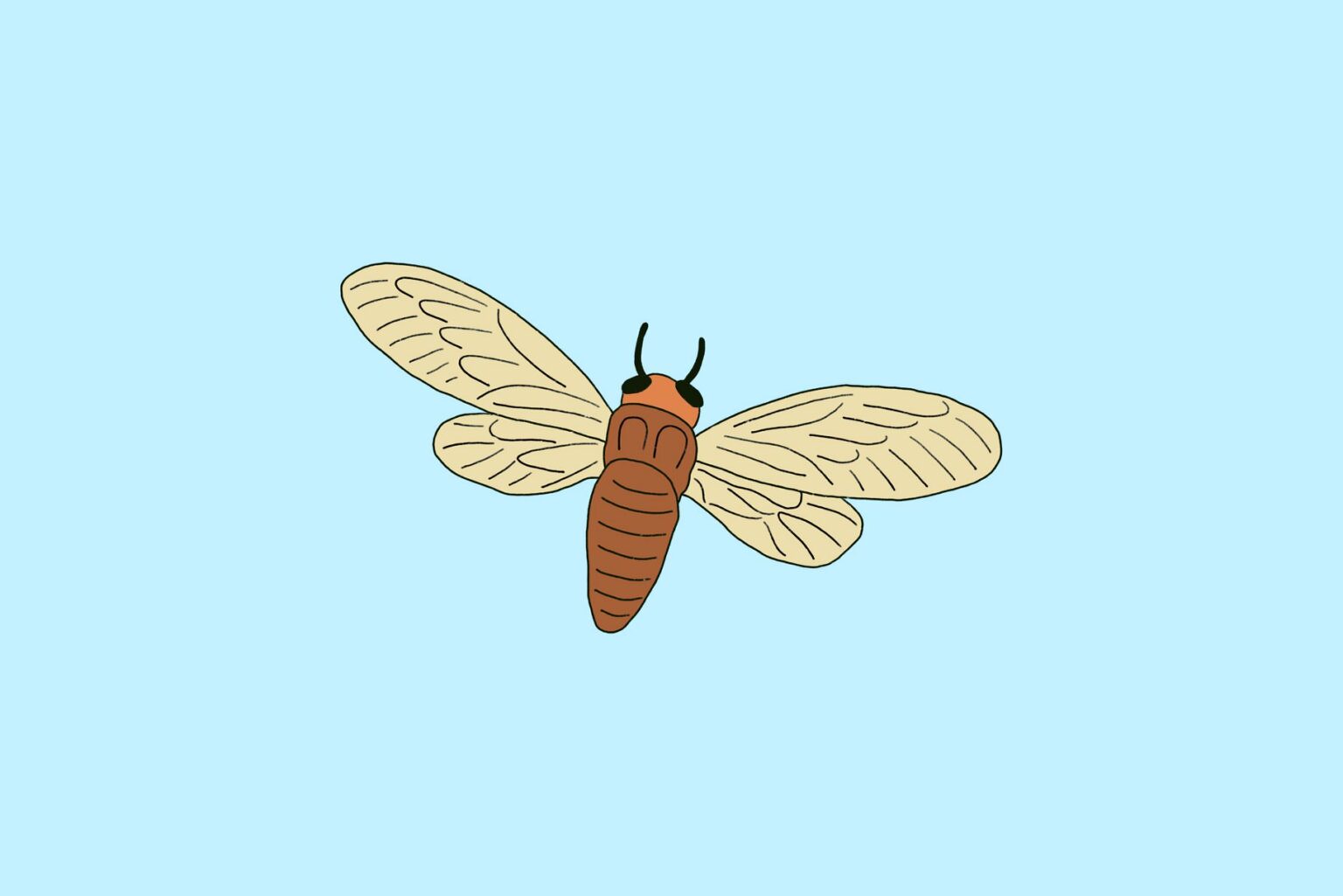 Cicadas Hand-Drawn Illustrations – MasterBundles