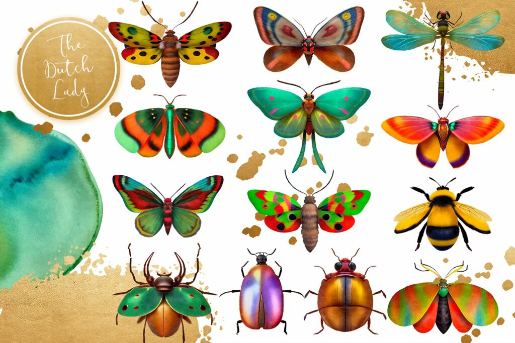 Beetles & Moths Clipart Set – MasterBundles