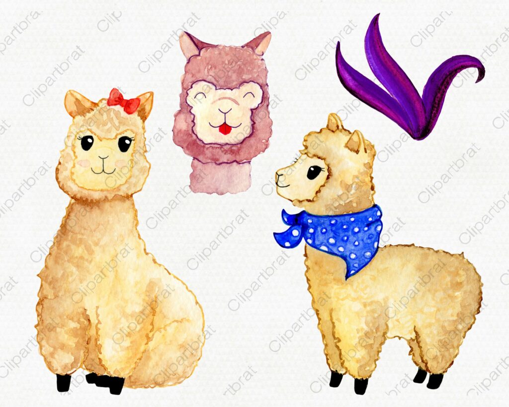 Watercolor Llamas & Cactus Clipart – MasterBundles