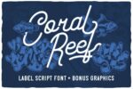 Coral Reef script font – MasterBundles