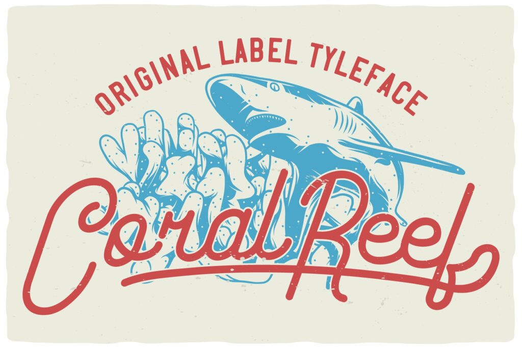 Coral Reef script font – MasterBundles