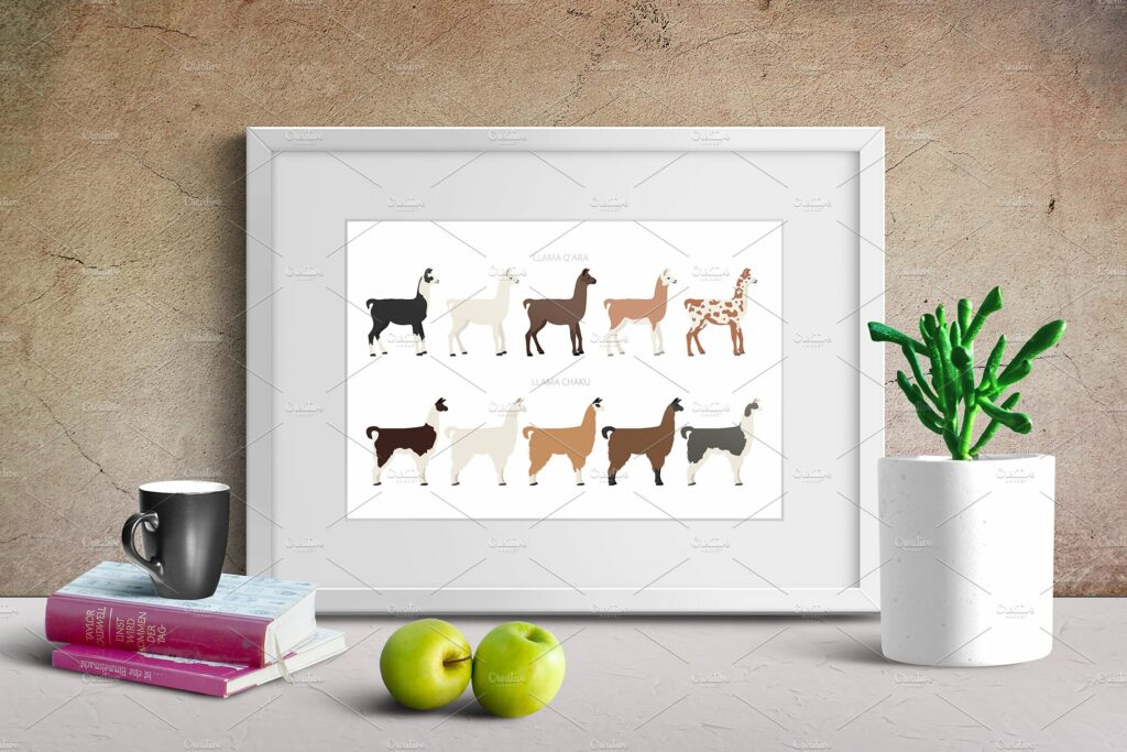 Llama clipart – MasterBundles