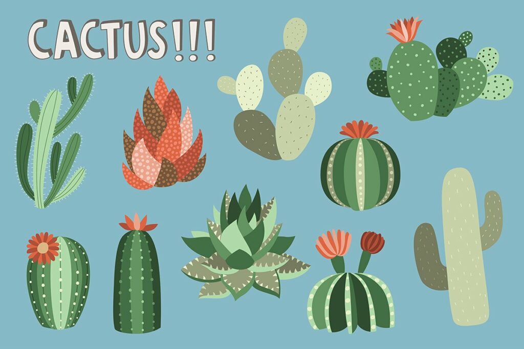 Llama and Cactus Clipart Bundle – MasterBundles