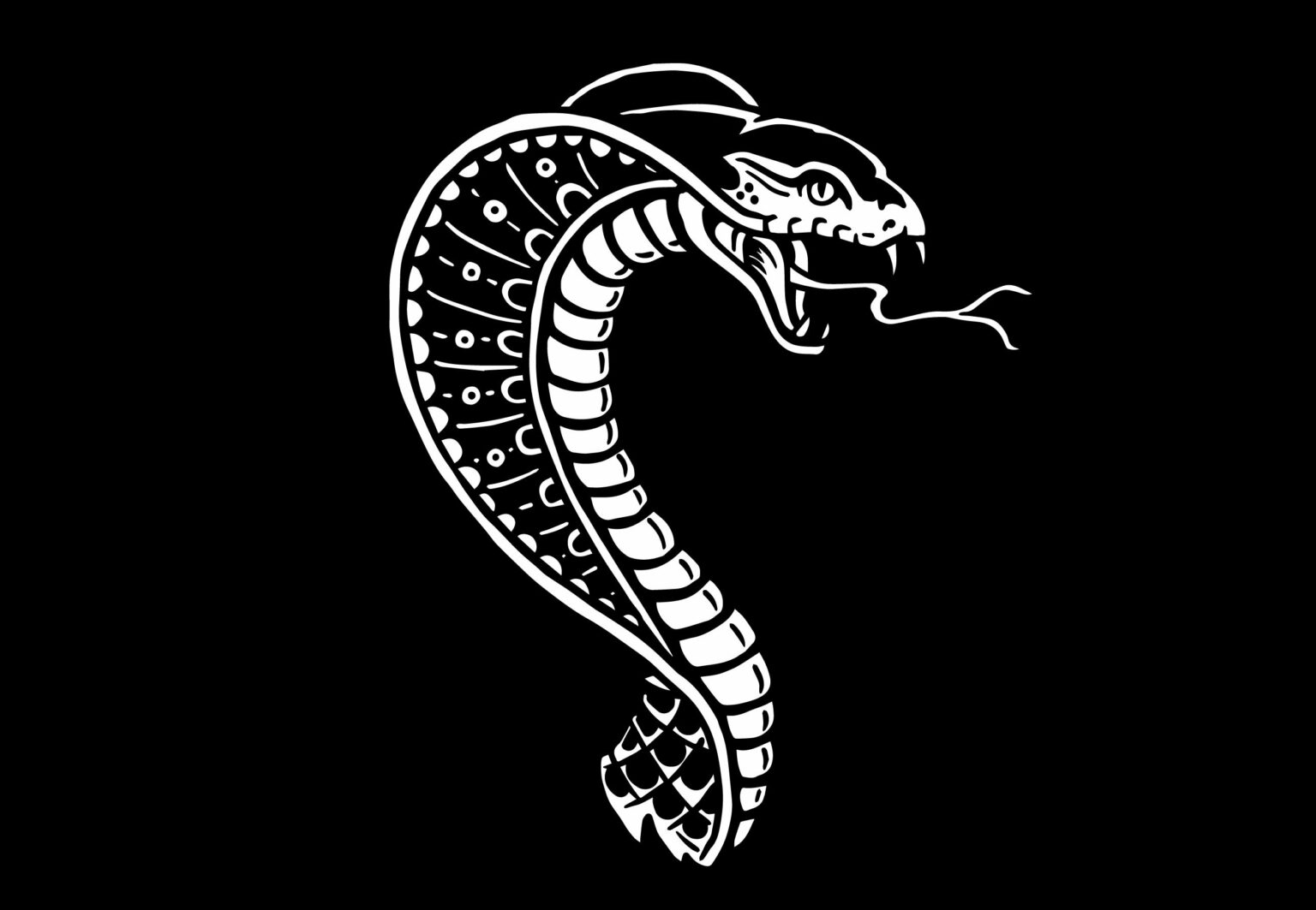 Cobra Flash – MasterBundles